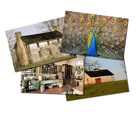 postcard-stack - Nettie Jarvis Antiques